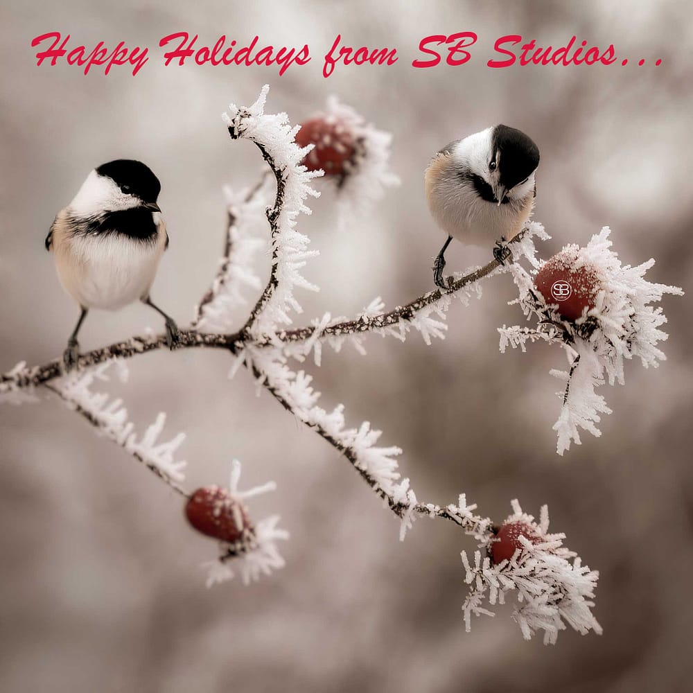 Steven Bergman Studios | Award-Winning Photography Atelier